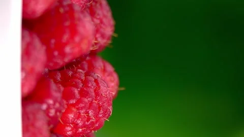 Red raspberry spinning close-up isolated... | Stock Video | Pond5