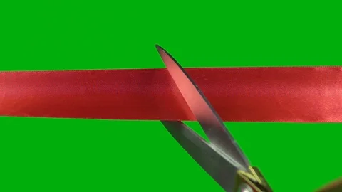 Cutting 4K Stock Video Footage | Royalty Free Cutting 4K Videos | Pond5