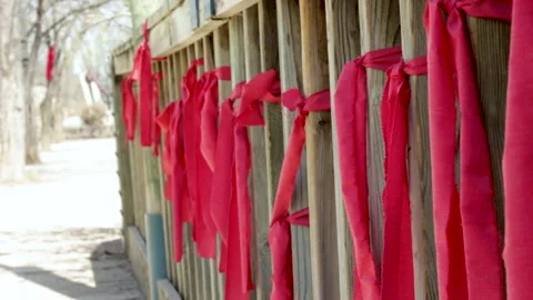 Red ribbons for missing and murdered ind... | Stock Video | Pond5