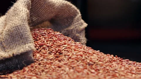 Rice Isolated Stock Video Footage | Royalty Free Rice Isolated Videos ...