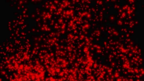 Red rising of fire ember in dark backgro... | Stock Video | Pond5