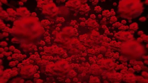 Red ROSE ANIMATED Motion BACKGROUND | Stock Video | Pond5