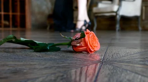 Red rose on the floor on dancing people ... | Stock Video | Pond5