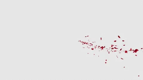 Red Rose Flow Along Curve | Stock Video | Pond5
