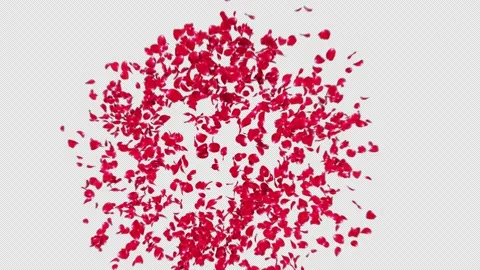 Explosion Stock Footage ~ Royalty Free Stock Videos | Pond5