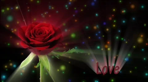 Red D Meaning Stock Videos – Royalty-Free HD & 4K Videos