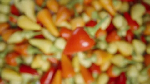 Mini Backdrop Stock Videos – Royalty-Free HD & 4K Videos