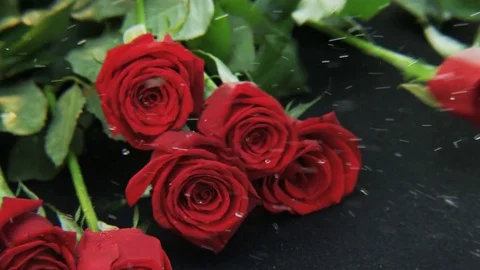 Roses Falling Stock Videos – Royalty-Free HD & 4K Videos