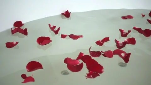 Red Roses Leaves Moving on Hot Tub Water... | Stock Video | Pond5