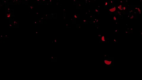 Roses Falling Stock Videos – Royalty-Free HD & 4K Videos