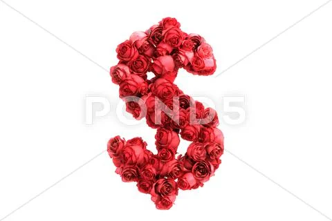 Red roses symbol $ isolated on white background ~ Clip Art #37779779