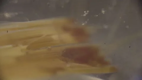 Red Rutile Under Microscope 4K Super Mag... | Stock Video | Pond5