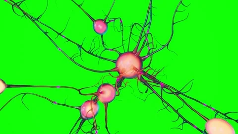 Brain Green Screen Stock Videos – Royalty-Free HD & 4K Videos | Pond5