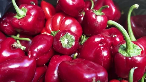 Canning Peppers Stock Videos – Royalty-Free HD & 4K Videos | Pond5