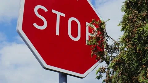 Red stop sign on metal pole on street. R... | Stock Video | Pond5