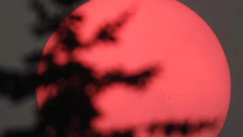 Red Sun Seen Through Smoke Filled Sky in... | Stock Video | Pond5