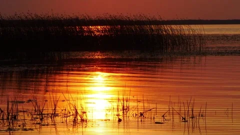 Red sunset by the lake. Hot weather at s... | Stock Video | Pond5