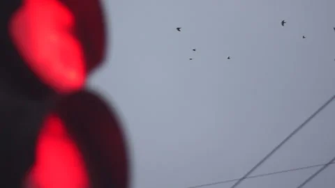 Traffic Light Model Stock Videos – Royalty-Free HD & 4K Videos