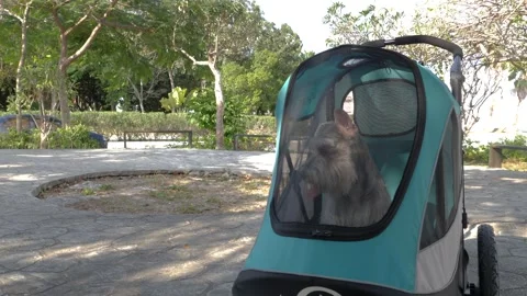 Redhead latina emo teenage girl preparin... | Stock Video | Pond5