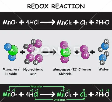 Redox Reaction Infographic Diagram for chemistry science education ...