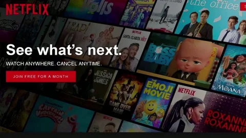 Record On Netflix Stock Videos – Royalty-Free HD & 4K Videos