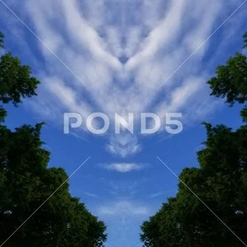 Reflection Photo Collage of Spring Dawn Trees Clouds and Sky Stock ...