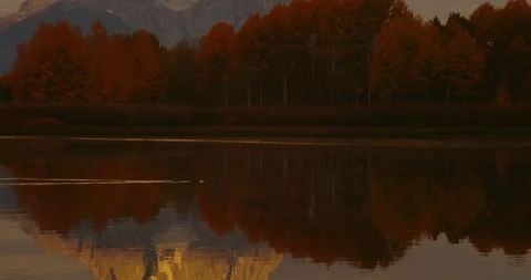 Reflection of trees in Jackson lake, GRA... | Stock Video | Pond5