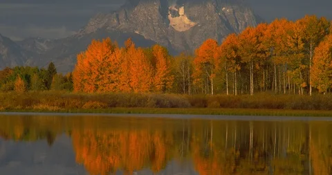 Reflection of trees in Jackson lake, GRA... | Stock Video | Pond5