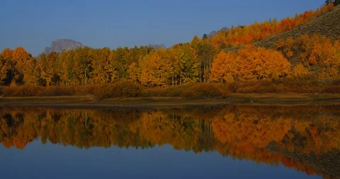 Reflection Of Trees In Jackson Lake, Gra... | Stock Video | Pond5