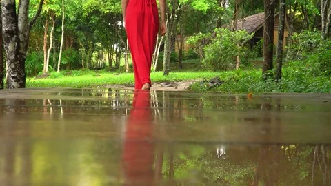 Reflection of the woman in a pond. The g... | Stock Video | Pond5
