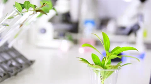 Genetics Lab Stock Video Footage | Royalty Free Genetics Lab Videos | Pond5
