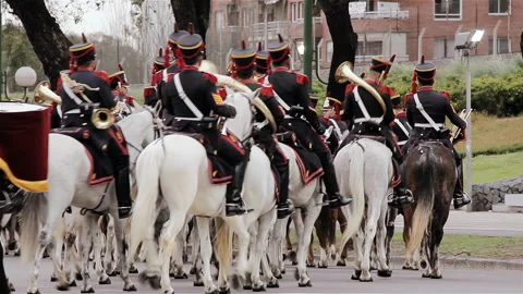 Regiment of Mounted Grenadiers (Granader... | Stock Video | Pond5
