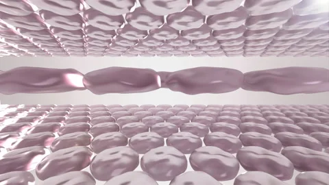 Skin Cells Animation Stock Footage ~ Royalty Free Stock Videos | Pond5