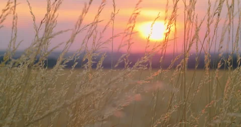 Light Relax Stock Footage ~ Royalty Free Stock Videos | Pond5