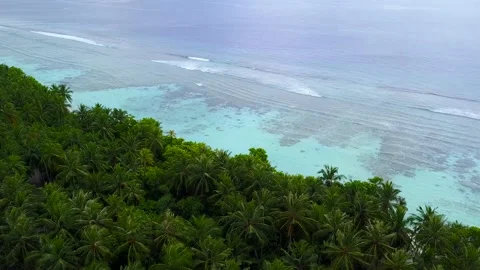 Relax Beach Stock Footage ~ Royalty Free Stock Videos | Pond5