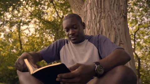 Reading Day One Stock Videos – Royalty-Free HD & 4K Videos