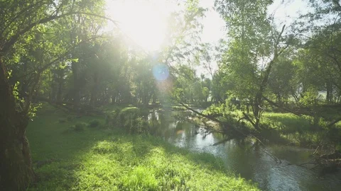 A relaxing shot of a stream running alon... | Stock Video | Pond5