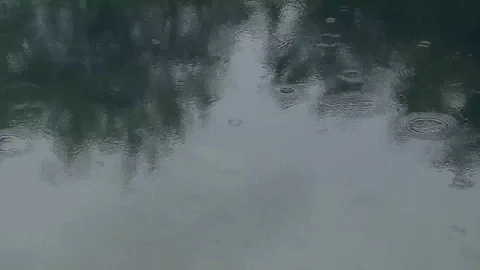 Relaxing view of light rain falling into... | Stock Video | Pond5