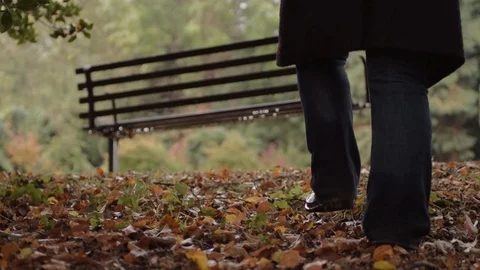 Relaxing walk in autumn leaves with park... | Stock Video | Pond5