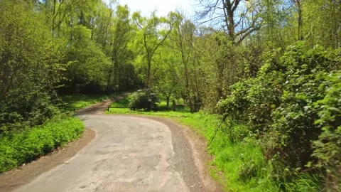 Relaxing Walk through Green Forest Lands... | Stock Video | Pond5