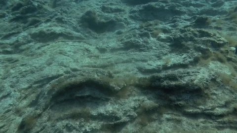 Relief on the rocky reef on blue water b... | Stock Video | Pond5