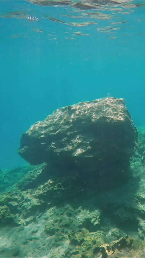 Relief of rocky seabed in shallow water ... | Stock Video | Pond5