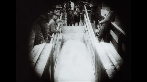 Remount Depot Of The US Cavalry At Camp ... | Stock Video | Pond5