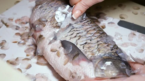 Descale Stock Video Footage | Royalty Free Descale Videos | Pond5