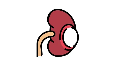 Cyst Stock Video Footage | Royalty Free Cyst Videos | Pond5