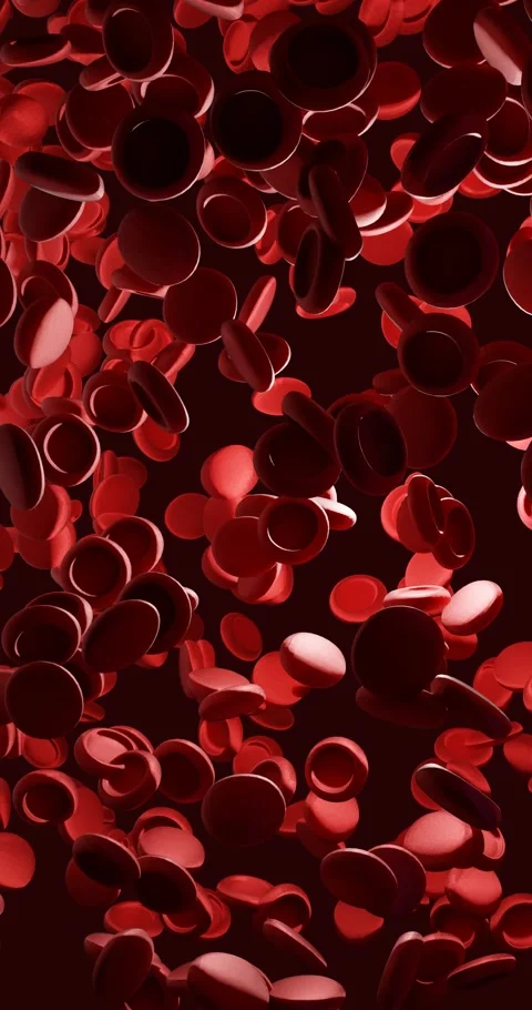 Render animation of red blood cells clos... | Stock Video | Pond5