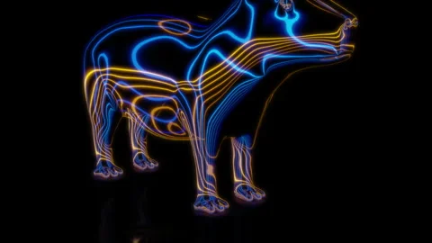 Capybara Animation Stock Videos – Royalty-Free HD & 4K Videos | Pond5