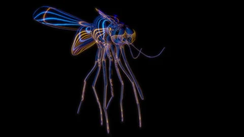 Rendering 3D animation, VISUAL EFFECTS M... | Stock Video | Pond5