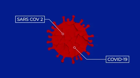 Representation of a SARS-COV-2 cell spin... | Stock Video | Pond5