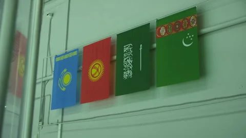 Representing flags of contestants countr... | Stock Video | Pond5